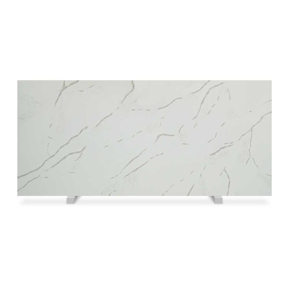 Tagore - Valiant Surfaces