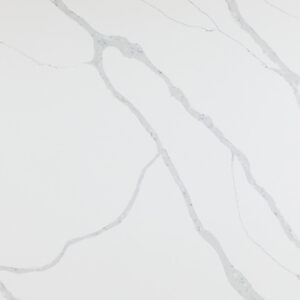 Bolivar - Valiant Surfaces