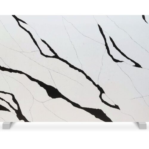 Bernini - Valiant Surfaces