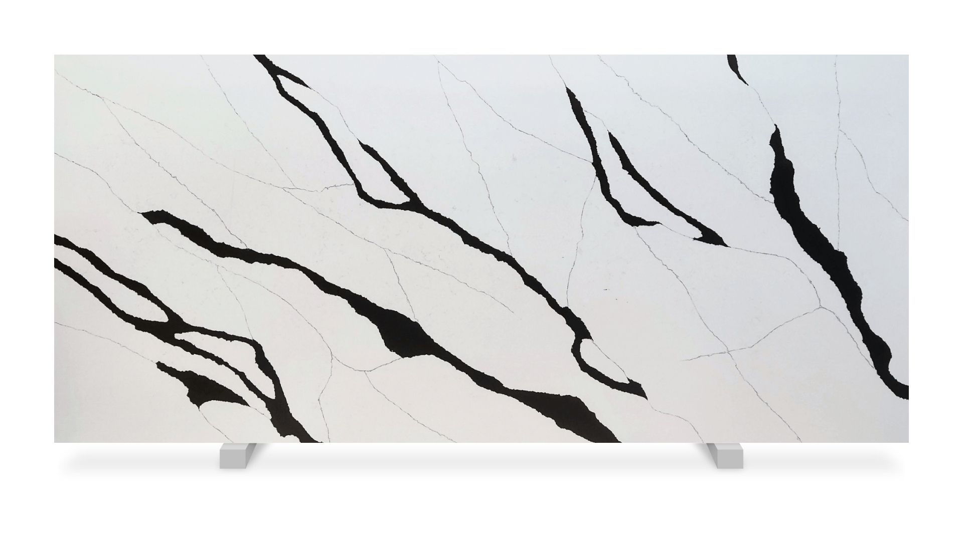 Bernini - Valiant Surfaces