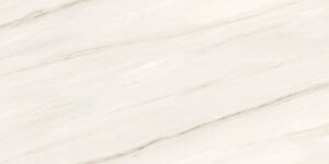 Lasa White - Valiant Surfaces