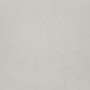 Mayflower - Valiant Surfaces