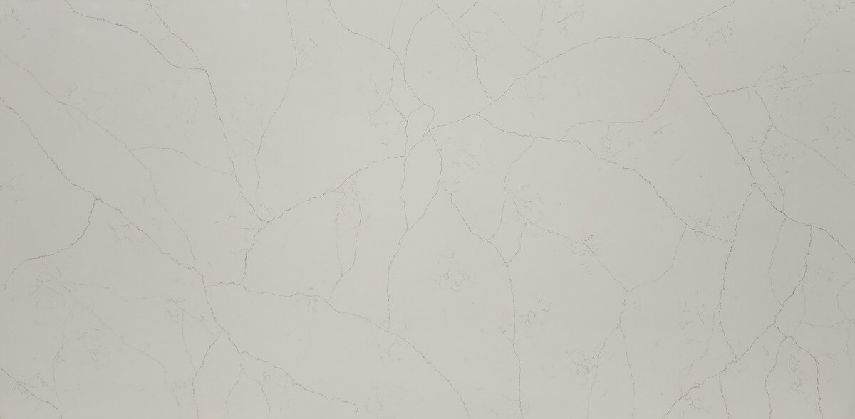 Mayflower - Valiant Surfaces