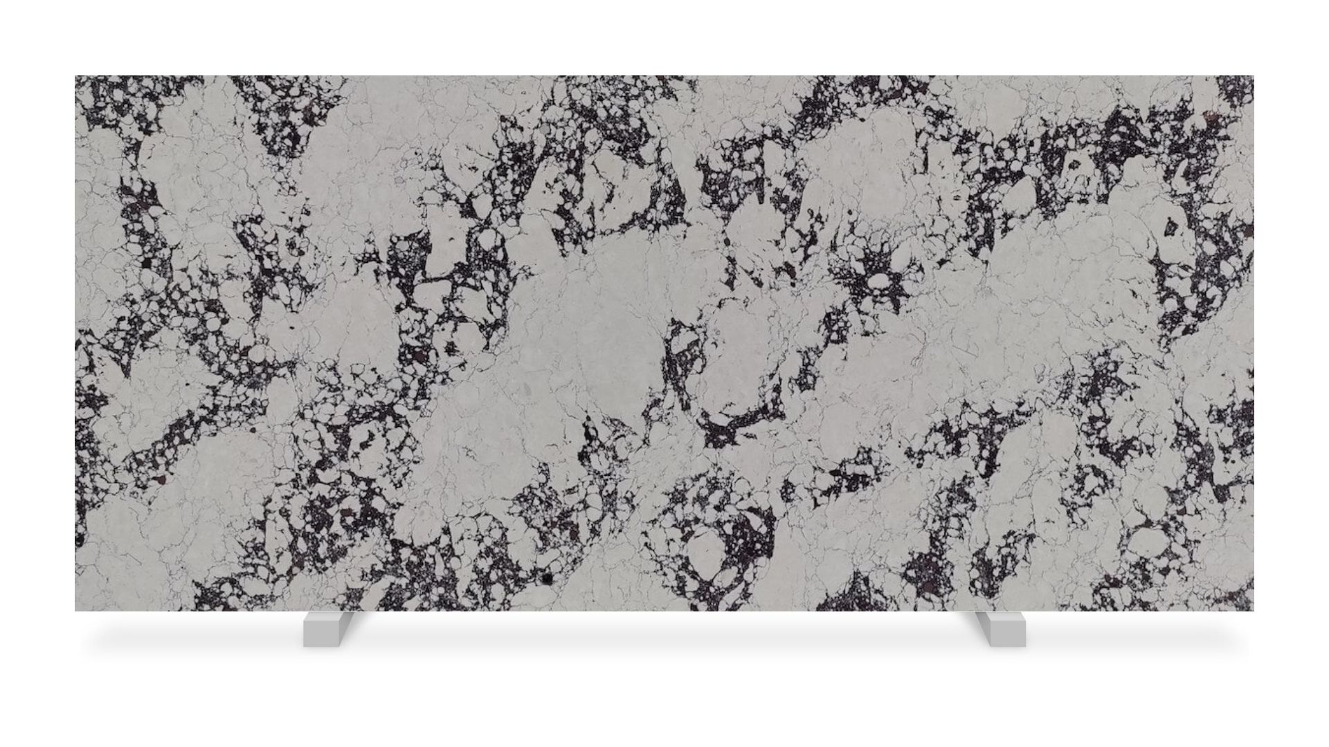 Provence - Valiant Surfaces