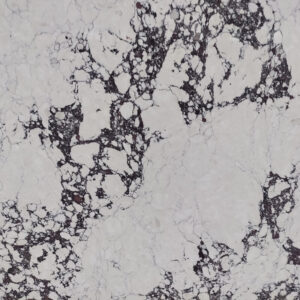 Provence - Valiant Surfaces