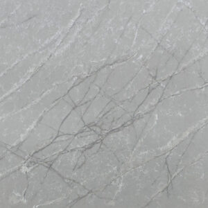 Talon - Valiant Surfaces